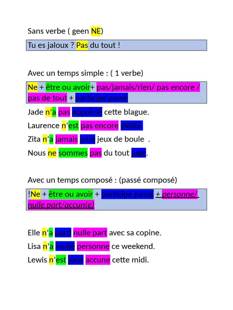 Samenvatting Frans La Negation Et Les Verbes Pronominaux | PDF