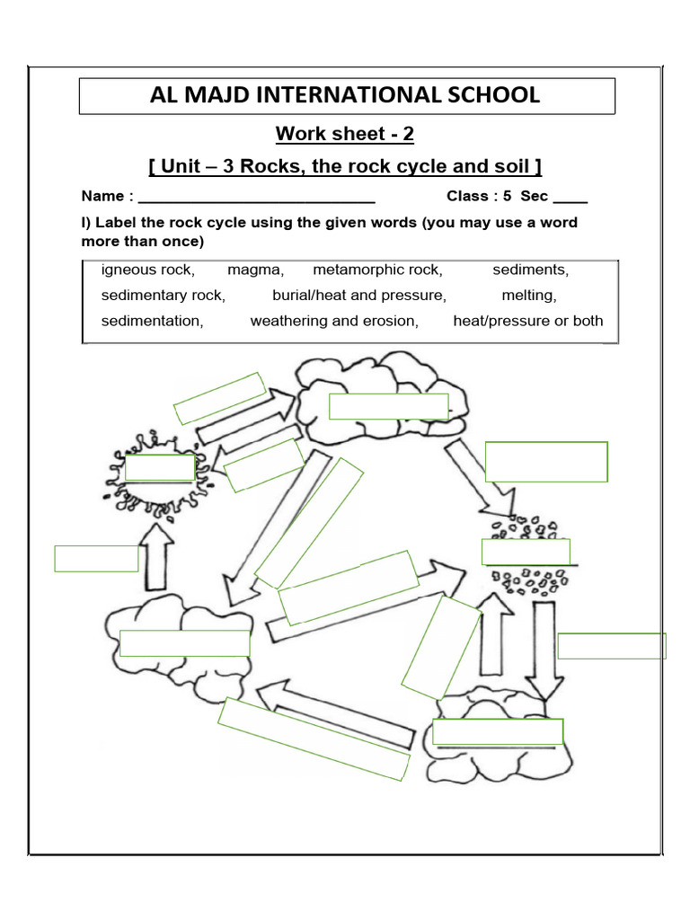 Grade 5 Science Worksheet - 2 and Its Answers | PDF