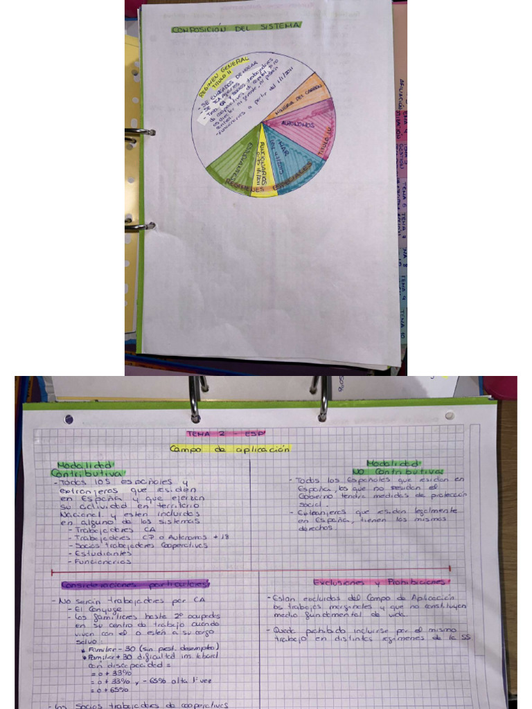 Tema 2 Regimenes SS | PDF