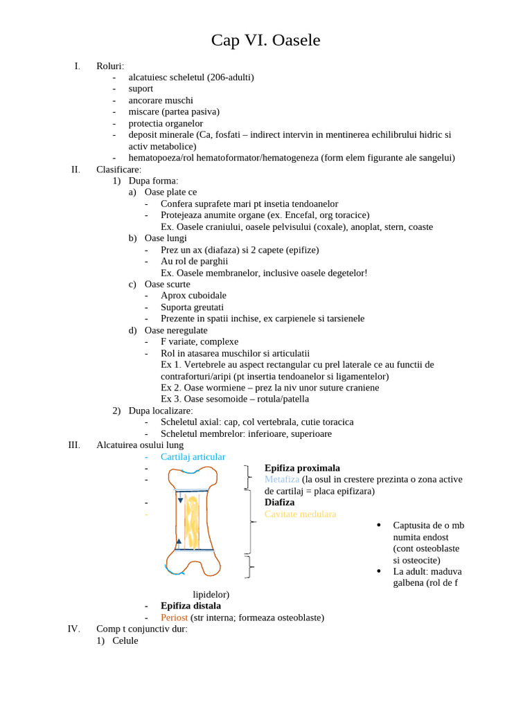Cap VI. Oasele Word | PDF