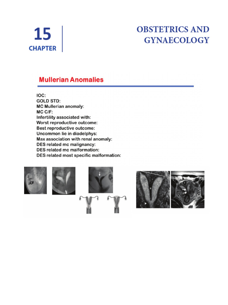 BTR Dr. Zainab Vora Cerebellum | PDF