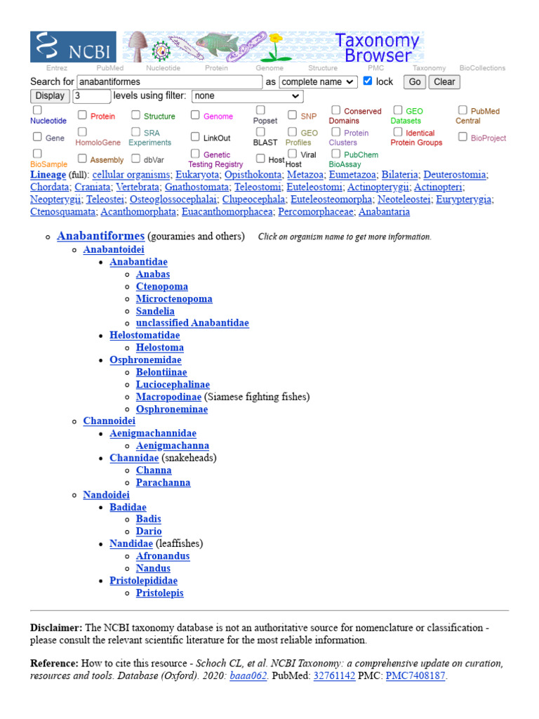 Taxonomy Browser (Anabantiformes) | PDF