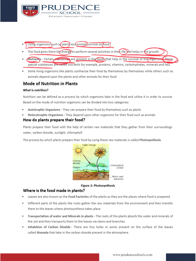 G7 Ch1 Nutrition In Plants Notes Pdf Nutrition Diet Nutrition