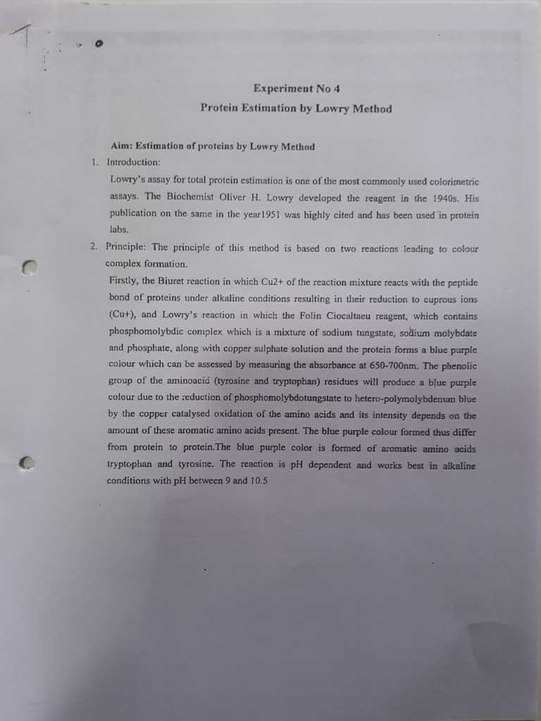 At Protein Estimation Practical | PDF