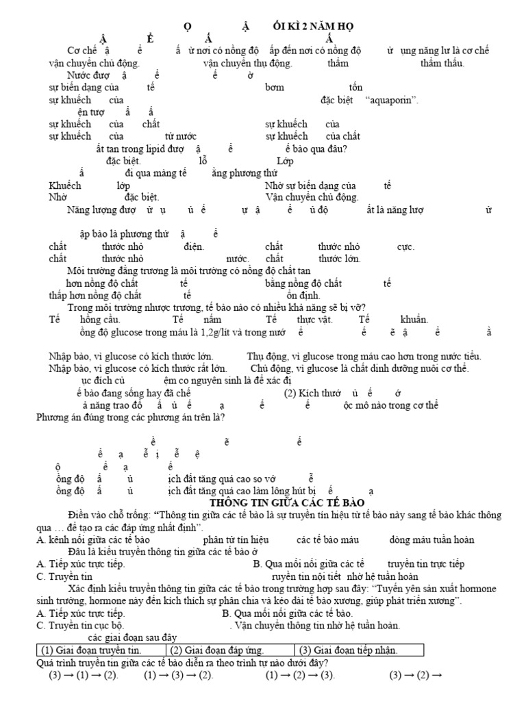 SINH HOC 10 ON TAP CK2 2023-2024 E6f80 | PDF