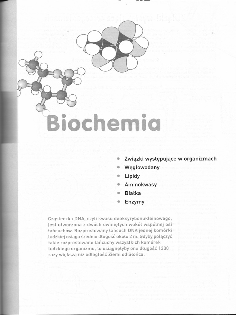 Biochemia Enzymy | PDF