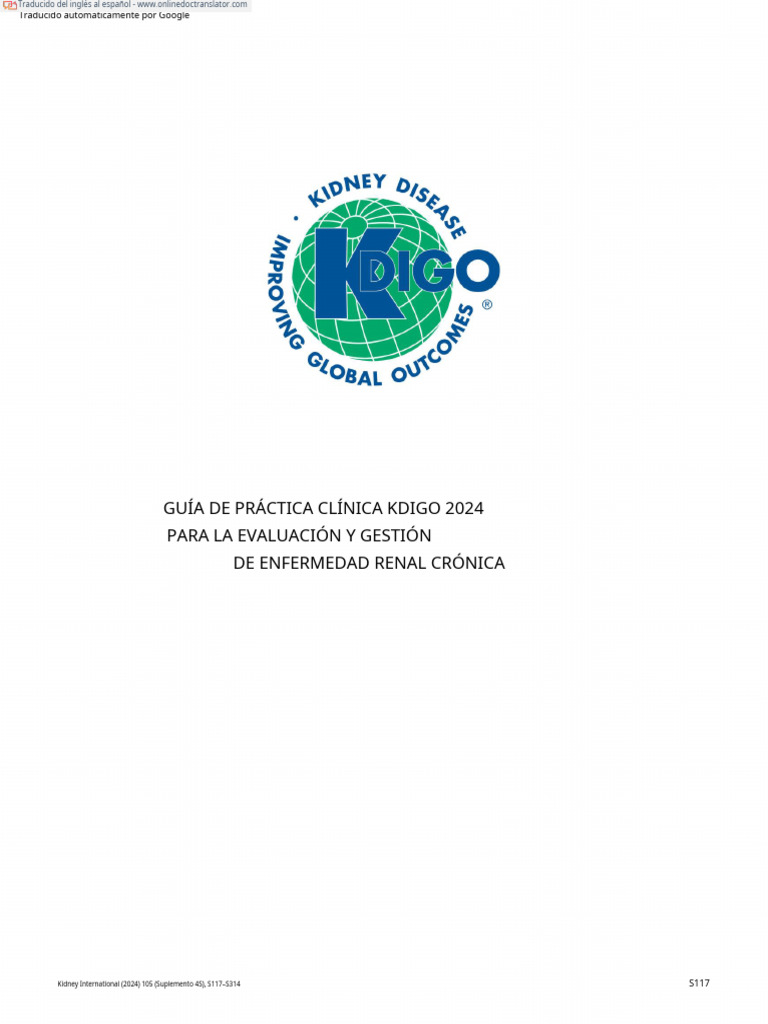 Guia Kdigo 2024 | PDF