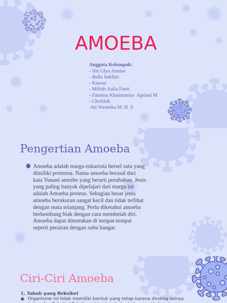 KLMPK 1 Amoeba-1 | PDF