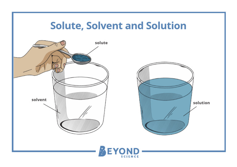 Au SC 1701491832 Solute Solvent and Solution Display Poster Ver 2 | PDF