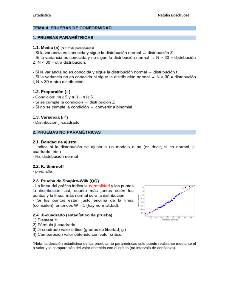 Tema 4. Pruebas de Conformidad | PDF