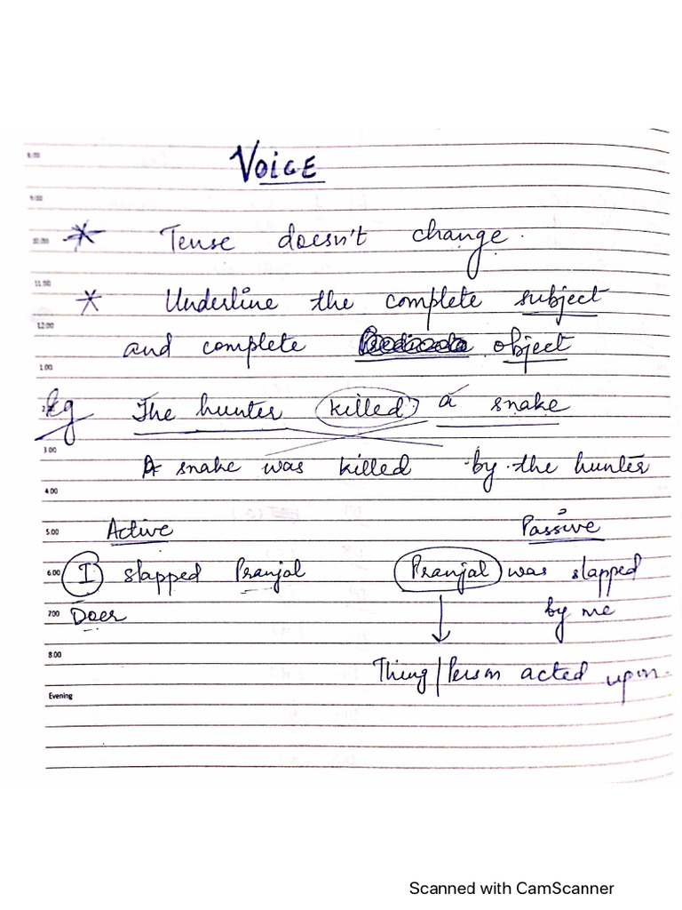 Voice Pdf