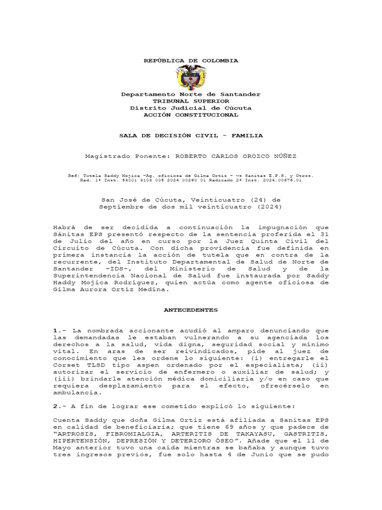 Fallo 2024 0676 01 Confirmar | PDF