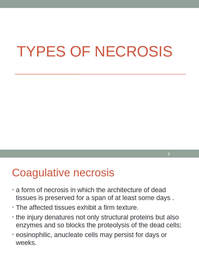 Types of Necrosis | PDF