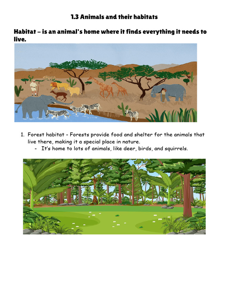 Science - 1.3 Animals in Different Habitats | PDF