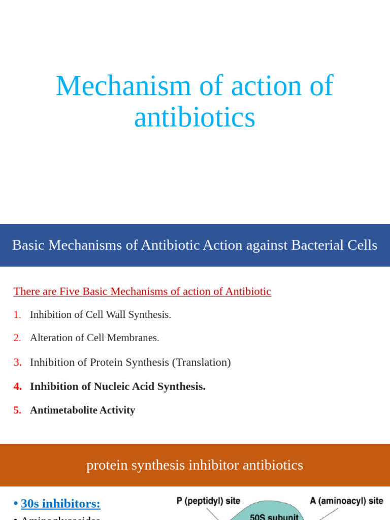 Mechanism of Action of Antibiotics | PDF