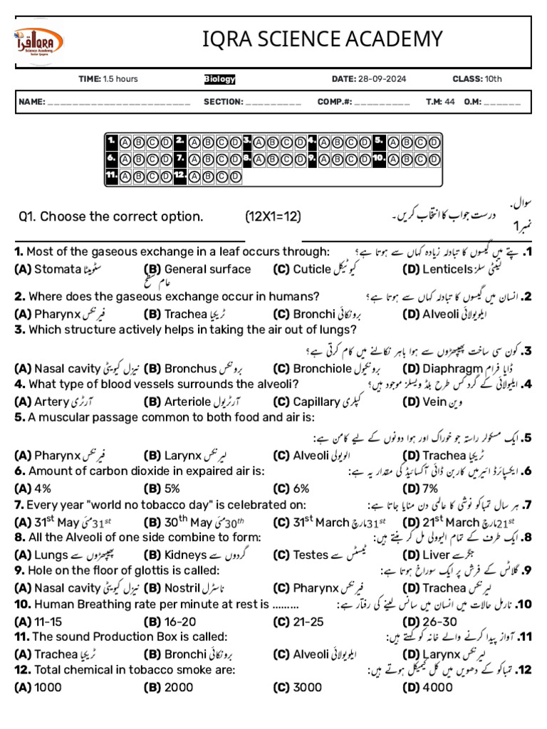 Class 10 Chemistry Chapter 1 Test | PDF | Breathing | Lung
