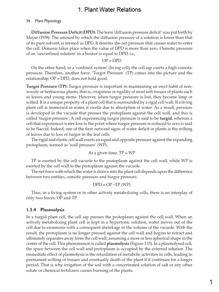 Plant Water Relations | PDF