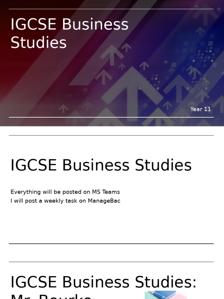 IGCSE Business Studies Guide | PDF | Business | Art