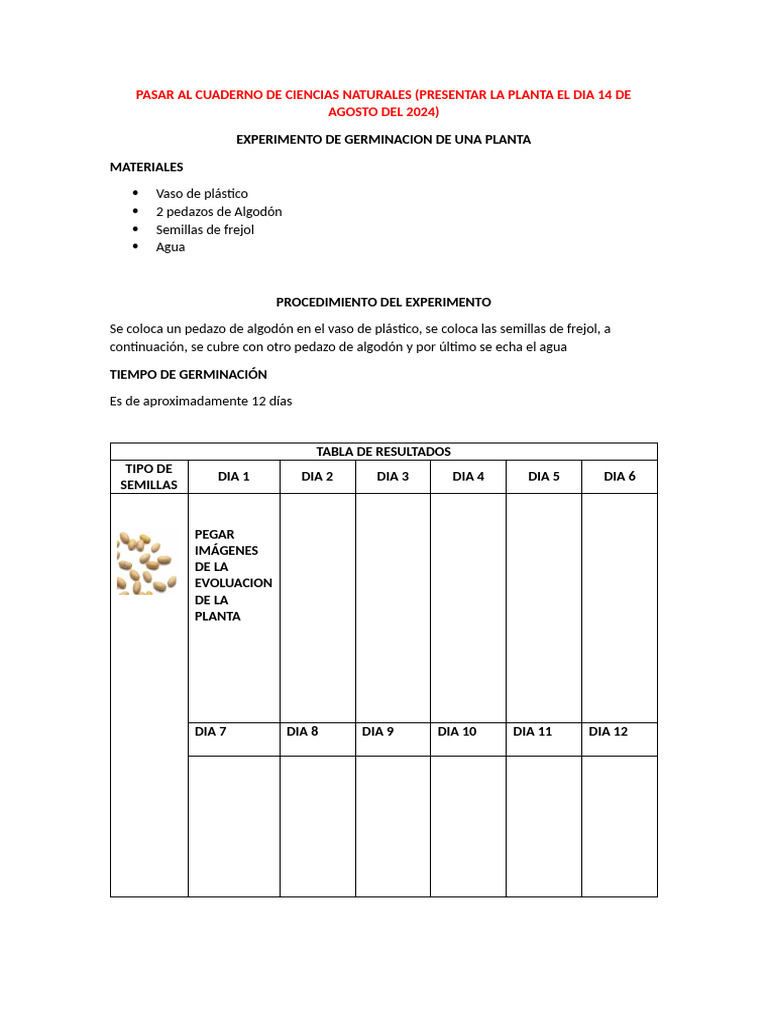 Experimento de Germinacion de Una Planta | PDF