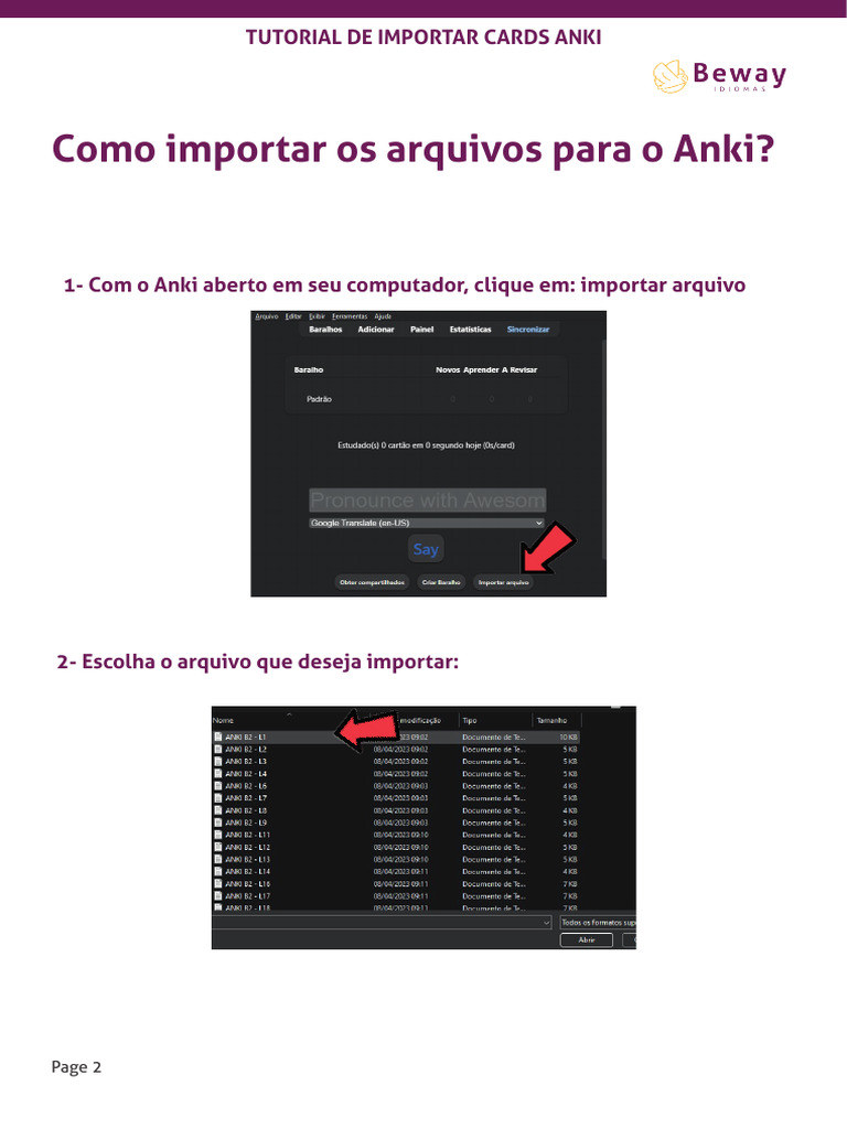 Tutorial Anki | PDF
