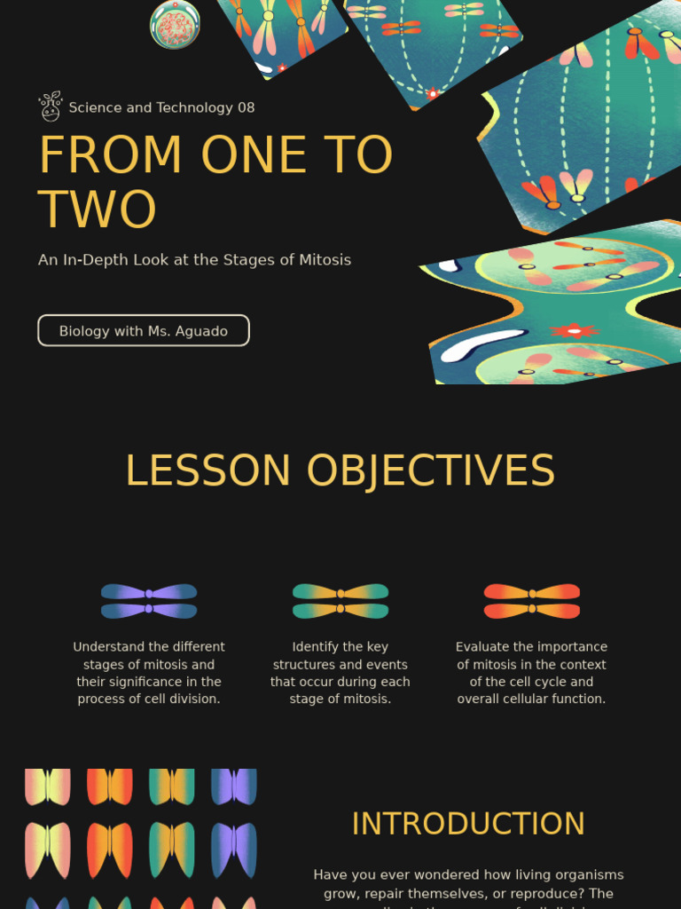 Black and Yellow Illustrative Science Stages of Mitosis Presentation | PDF