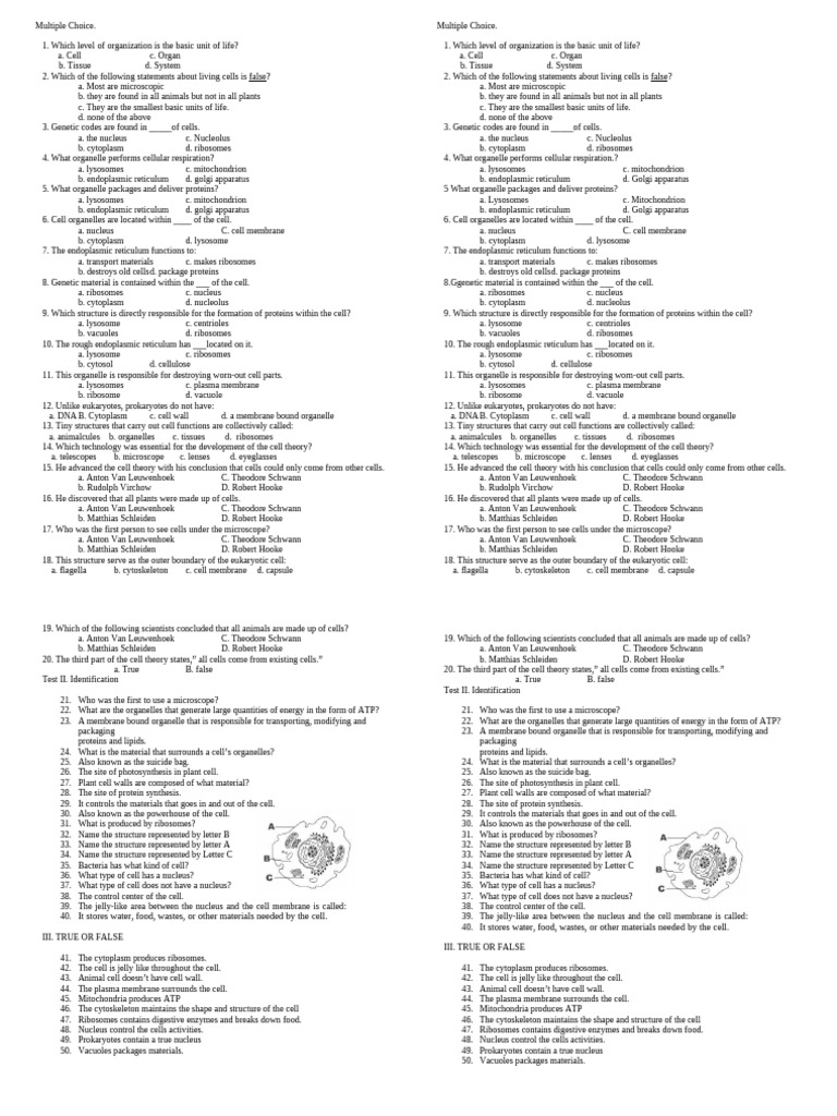 Understanding Cell Structure and Function | PDF | Cell (Biology ...