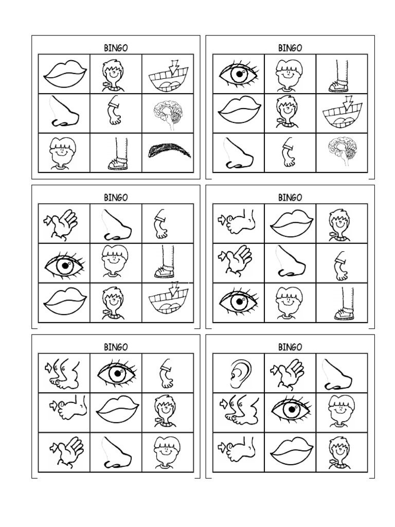 Bingo Parts of The Body | PDF