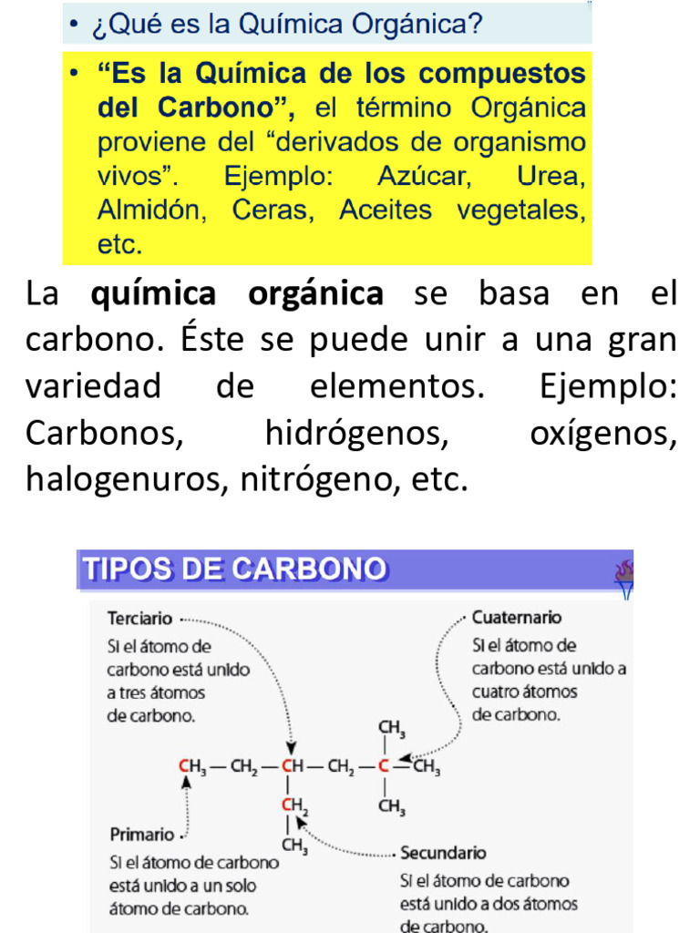 Func. Organicas | PDF