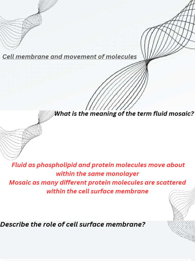 Cell Membrane & Movement of Molecules Biology AS | PDF
