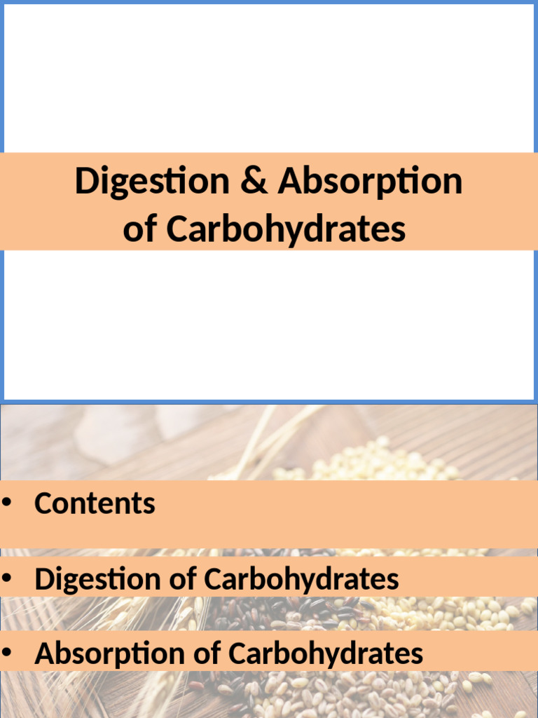 Carbohydrate Digestion and Absorption Guide | PDF | Digestion | Wellness