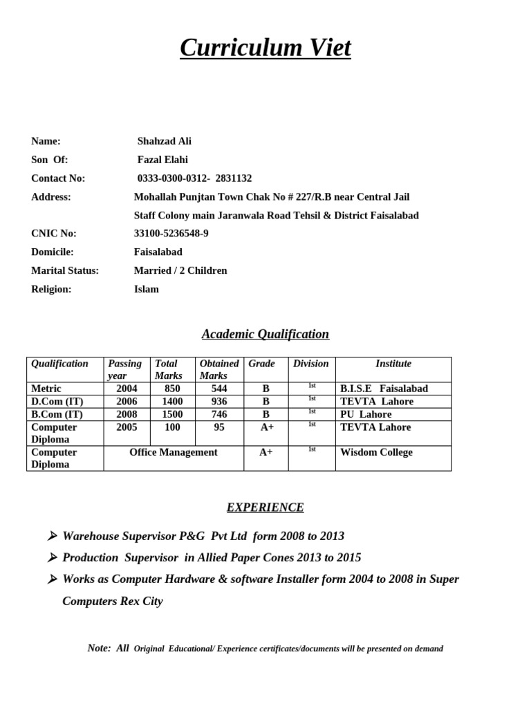 CV Shahzad | PDF