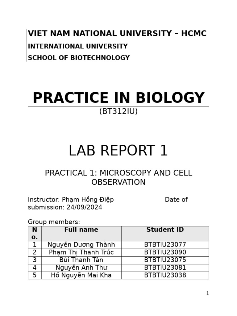 Lab Report 1 | PDF