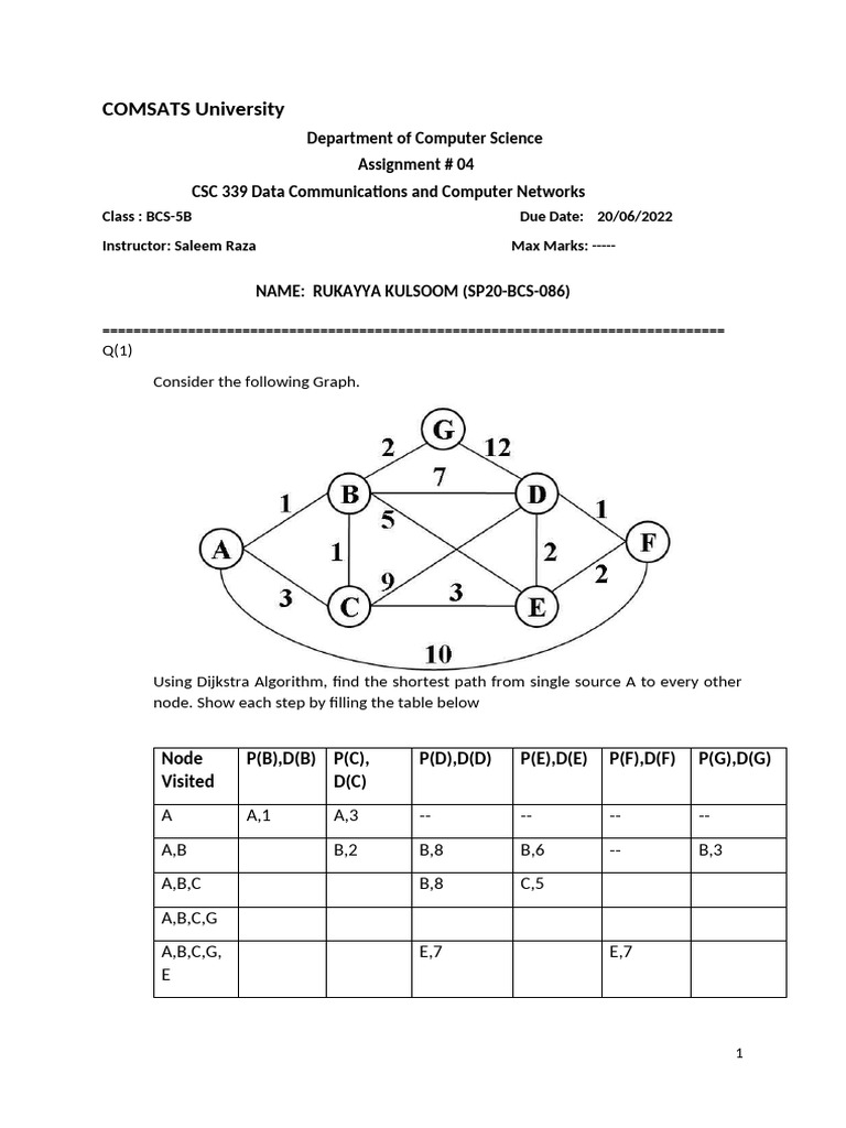 DCCN Assignment 04 | PDF