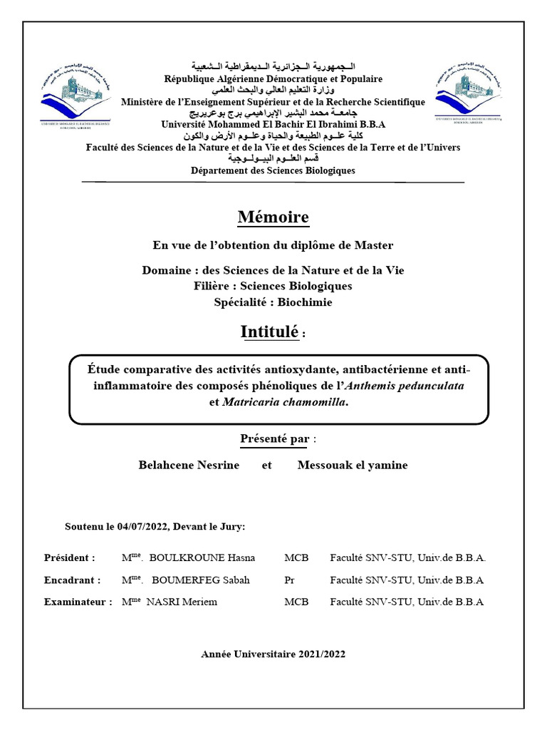 Mémoire: en Vue de L'obtention Du Diplôme de Master | PDF