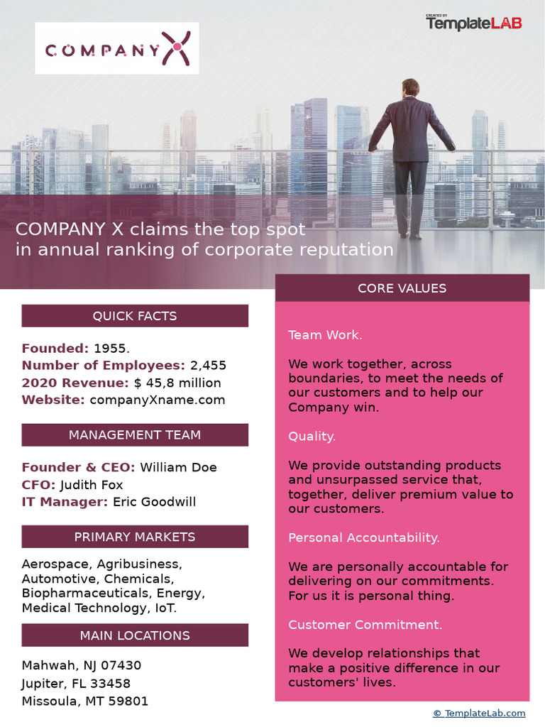 Company Fact Sheet Template | PDF