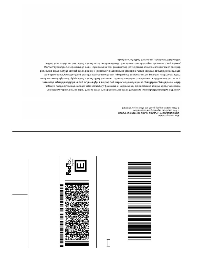 FedEx Shipping Label | PDF