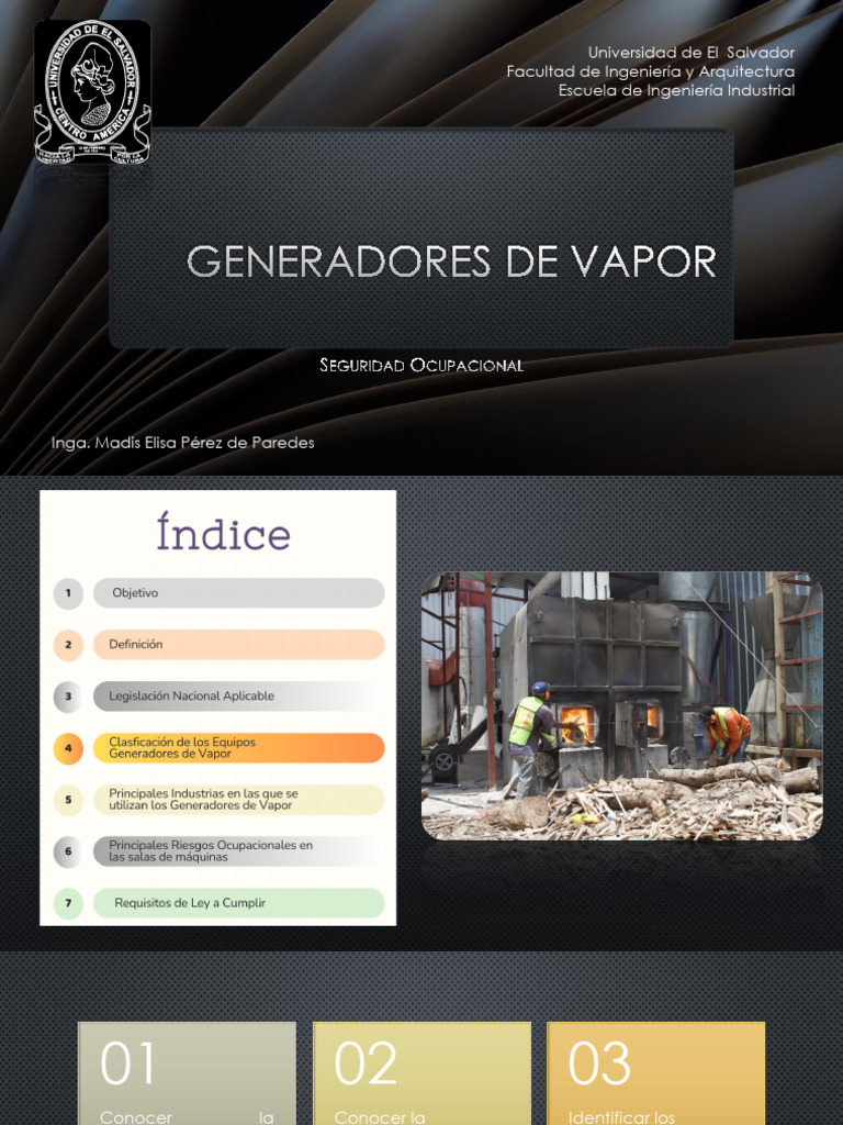 Generadores de Vapor | PDF