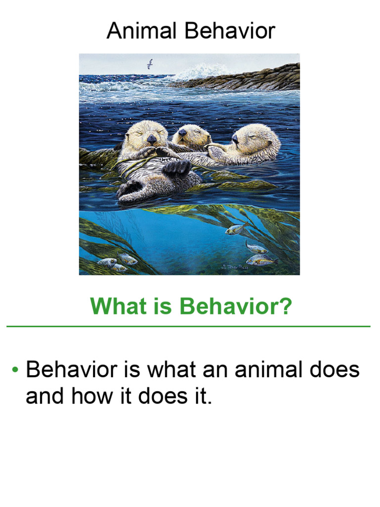 Behavioral Biology | PDF