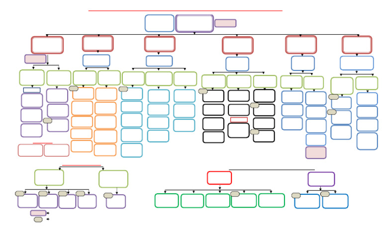 Bn's Deployment CHART | PDF
