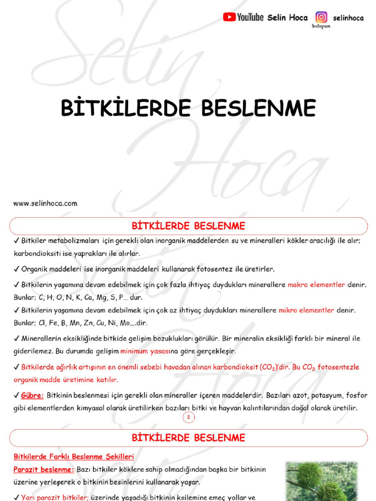 Beslenme | PDF