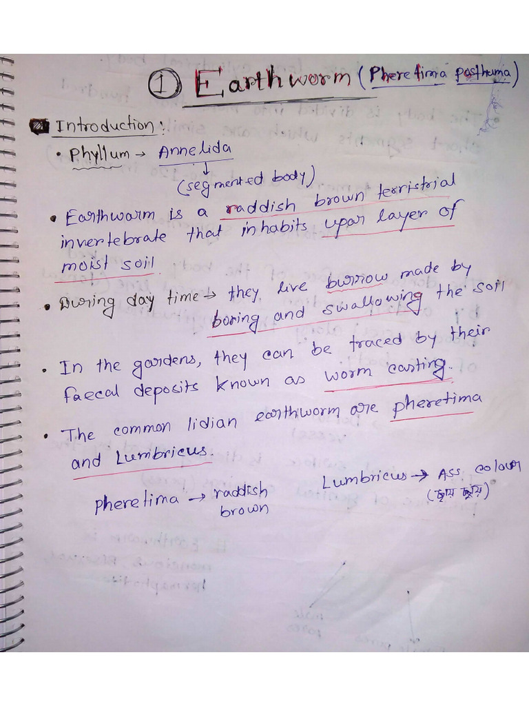 Earthworm Topper Note (NEET) | PDF
