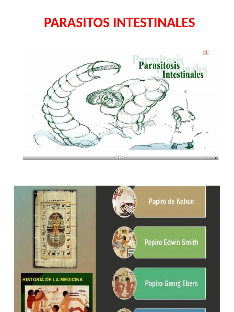 Tema 12 Parasitos Intestinales | PDF