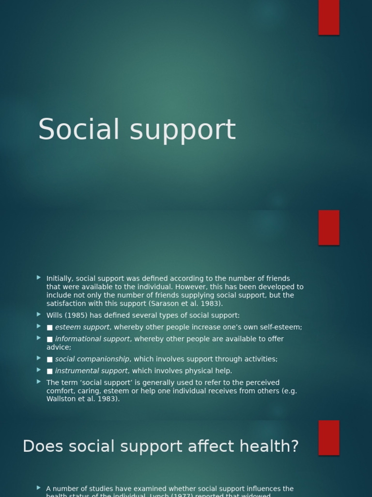 Social Support | PDF