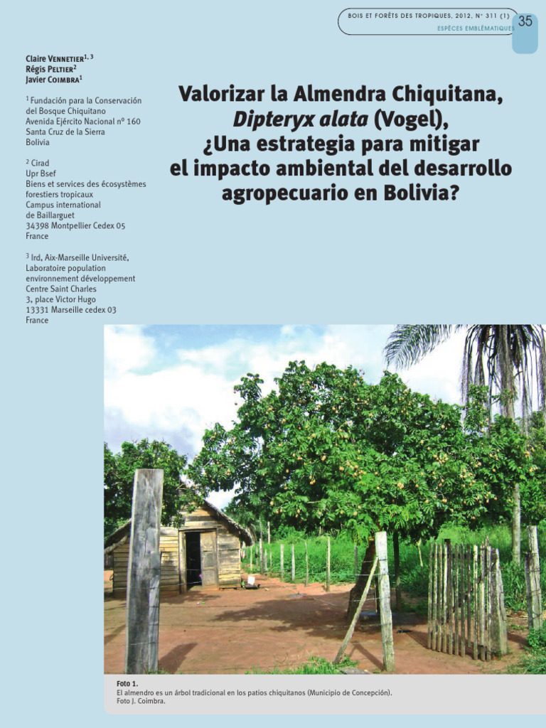 Almandra Chiquitana | PDF