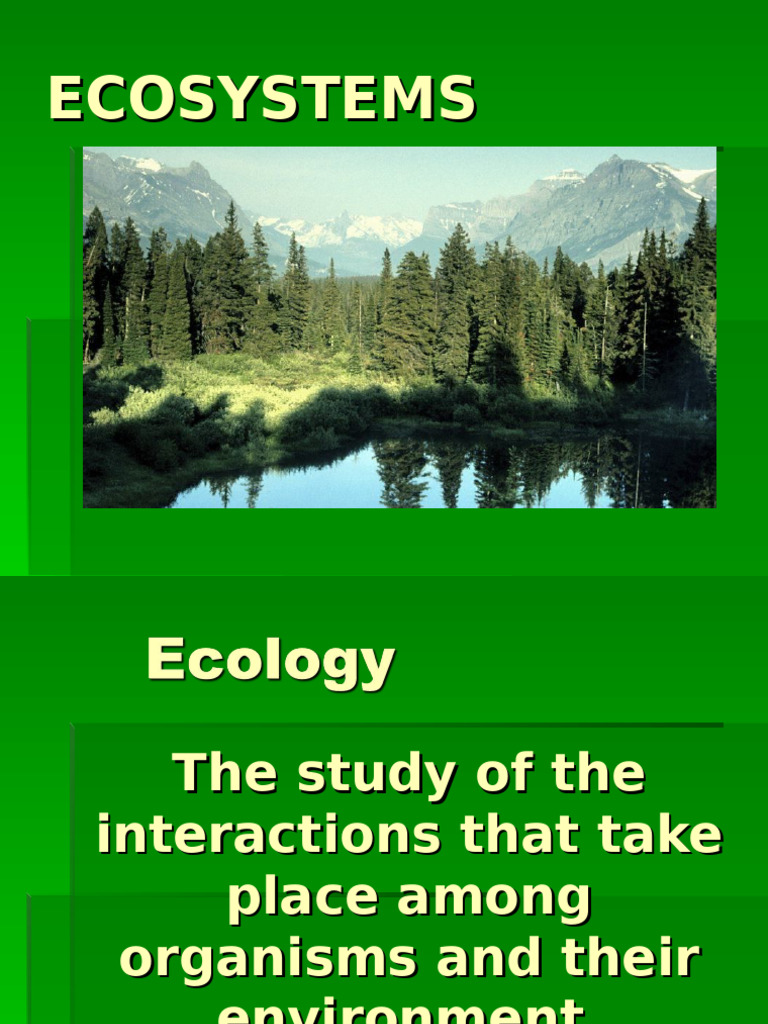 Ecosystems | PDF