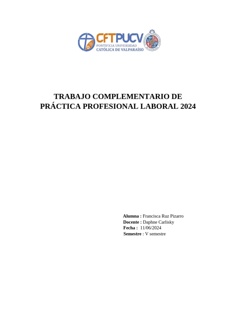 Trabajo Complementario de Práctica Profesional Laboral 2024 | PDF