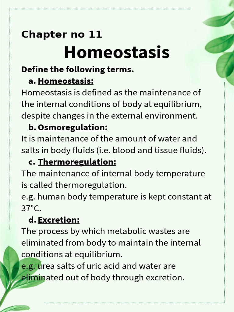 Chapter 11 Homeostasis Class 10 | PDF | Homeostasis | Kidney
