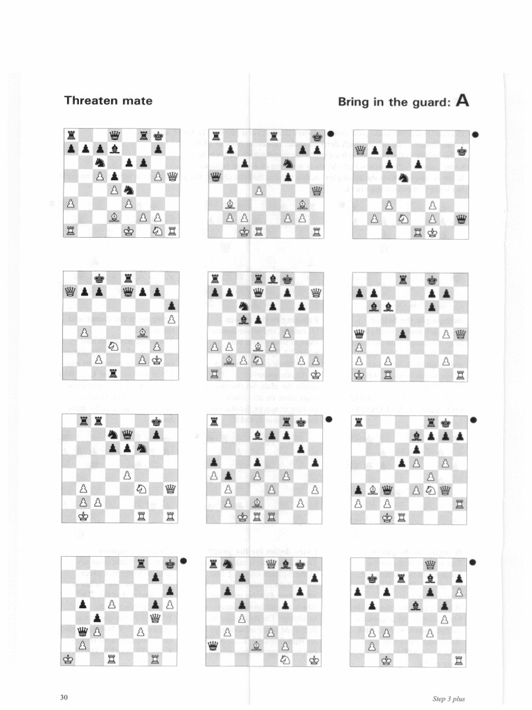 30 PDFsam Step3plus | PDF
