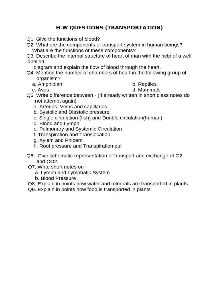 H.W Questions On Transportation | PDF