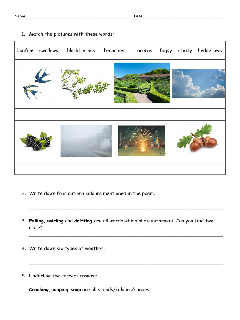 Grade 5 Poem Comprehension Guide | PDF
